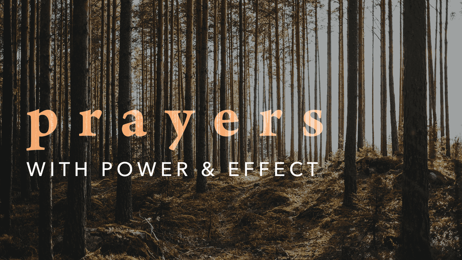 Prayer to Receive Jesus Christ as Savior | Wild At Heart